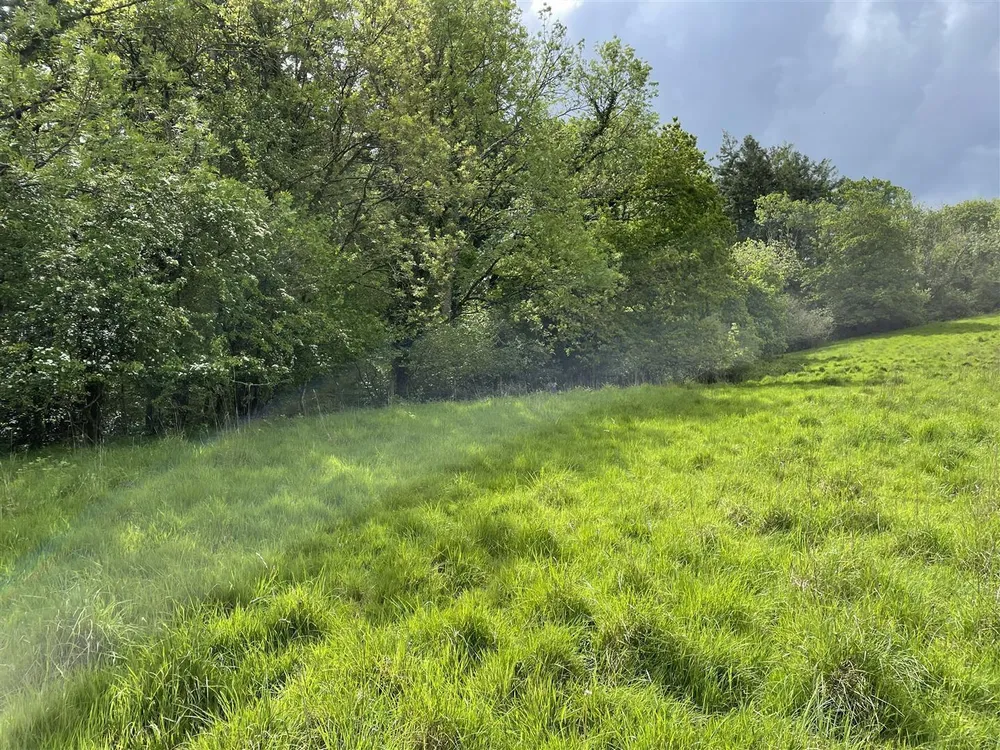 Stags | property for sale in Dunchideock, Exeter