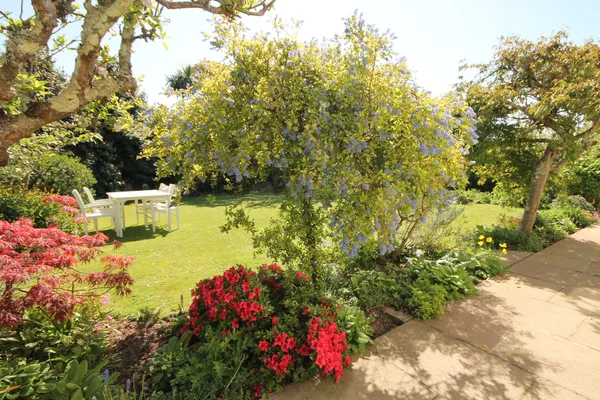 Blooming lovey garden in Kingsbridge | Marchand Petit | Estate Agent ...