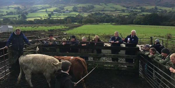 Farm Sales