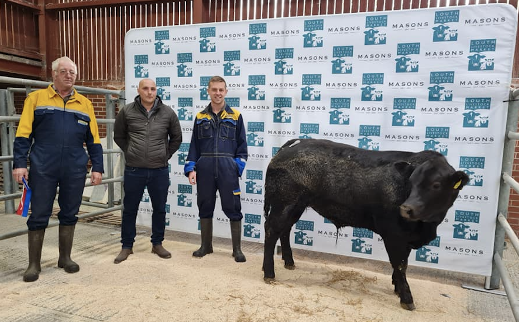 One of the best shows of autumn cattle at special livestock market ...