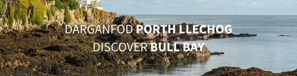 Bull Bay Area Guide