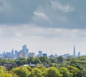 Mill Hill
