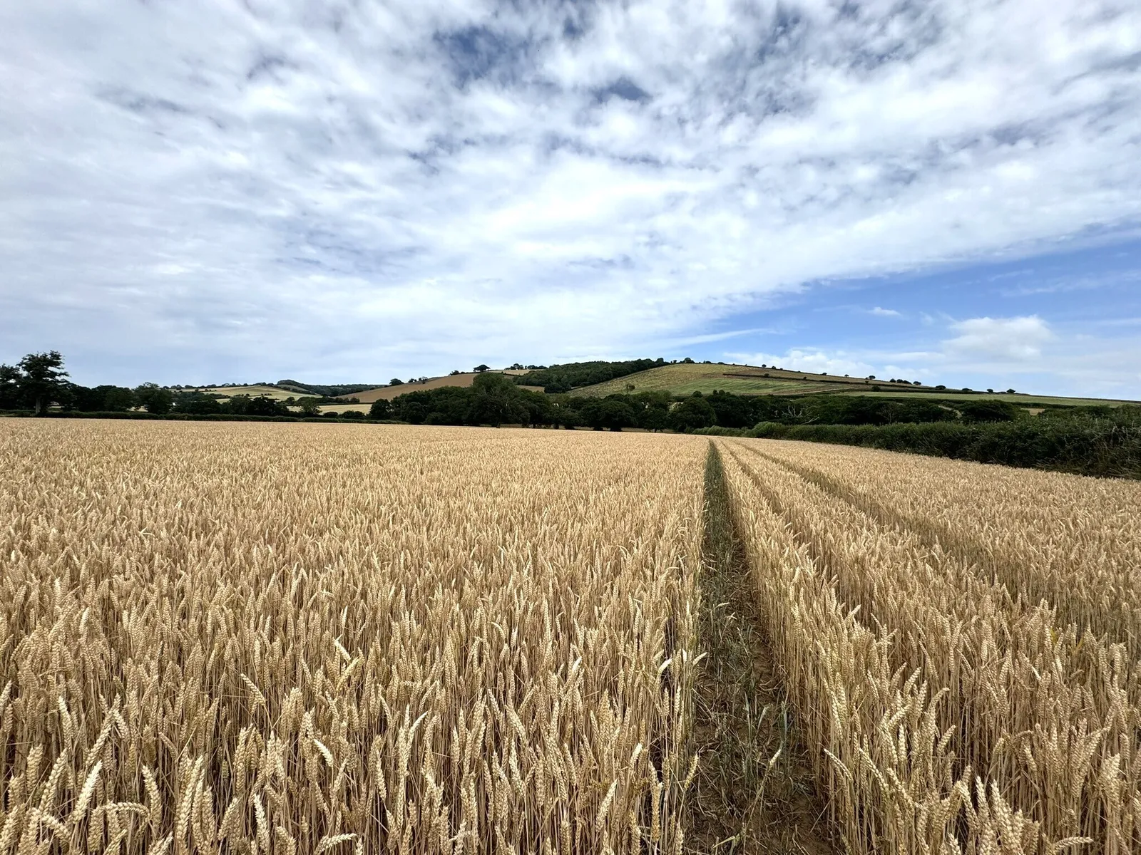 168 Acres of Predominantly Arable Land With Range of Farm Buildings ...